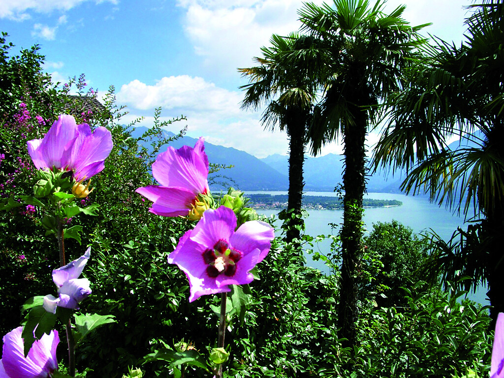 Busreisen Angebote Allgemein